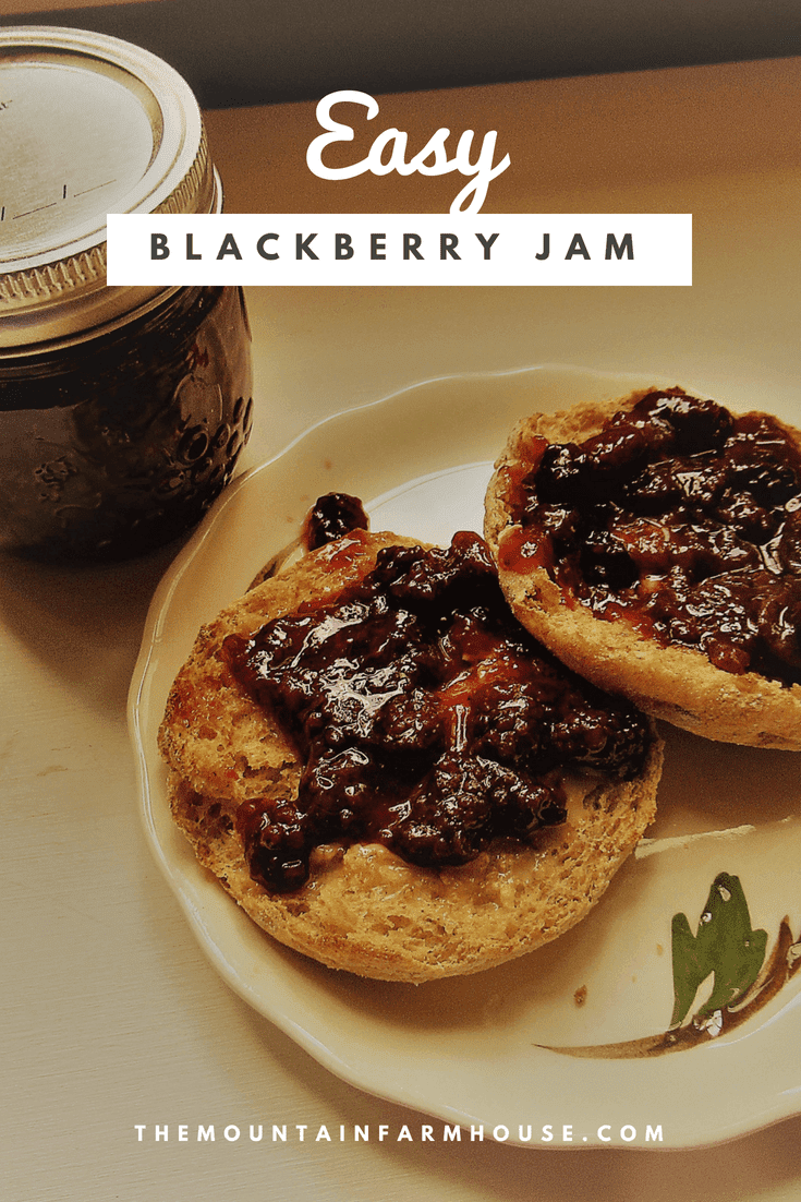 Easy Blackberry Jam - The Mountain Farmhouse