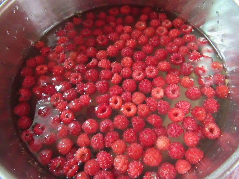 Raspberry Season - The Mountain Farmhouse