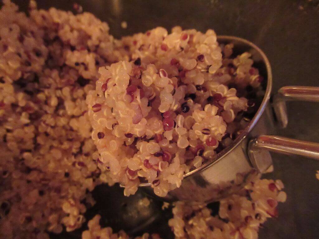Vegan Breakfast Quinoa - The Mountain Farmhouse