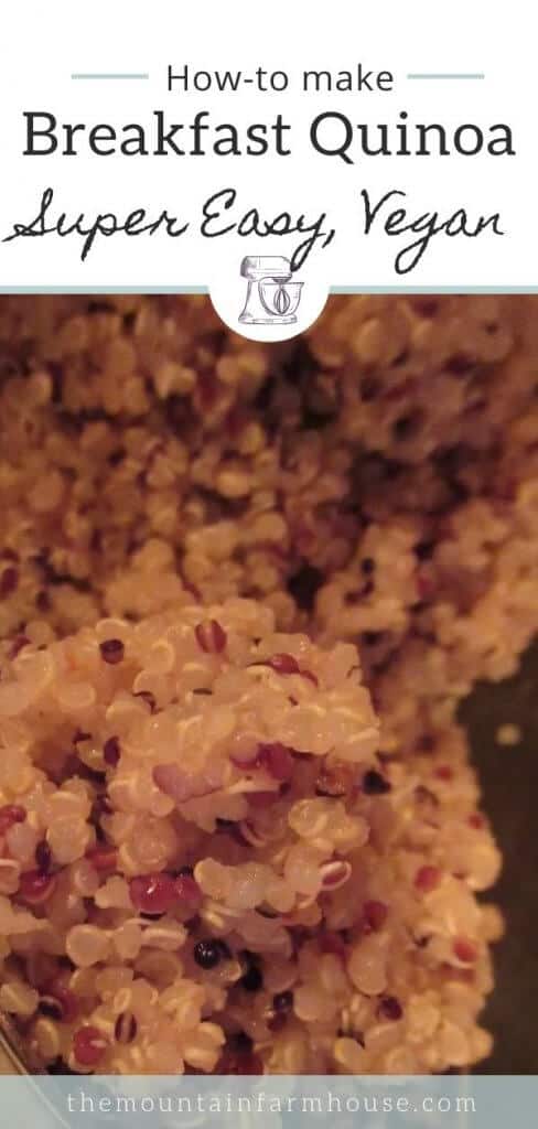 Vegan Breakfast Quinoa - The Mountain Farmhouse