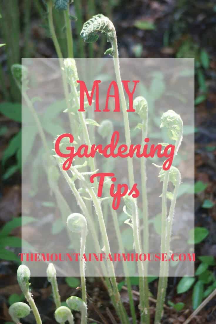May Gardening Tips - The Mountain Farmhouse