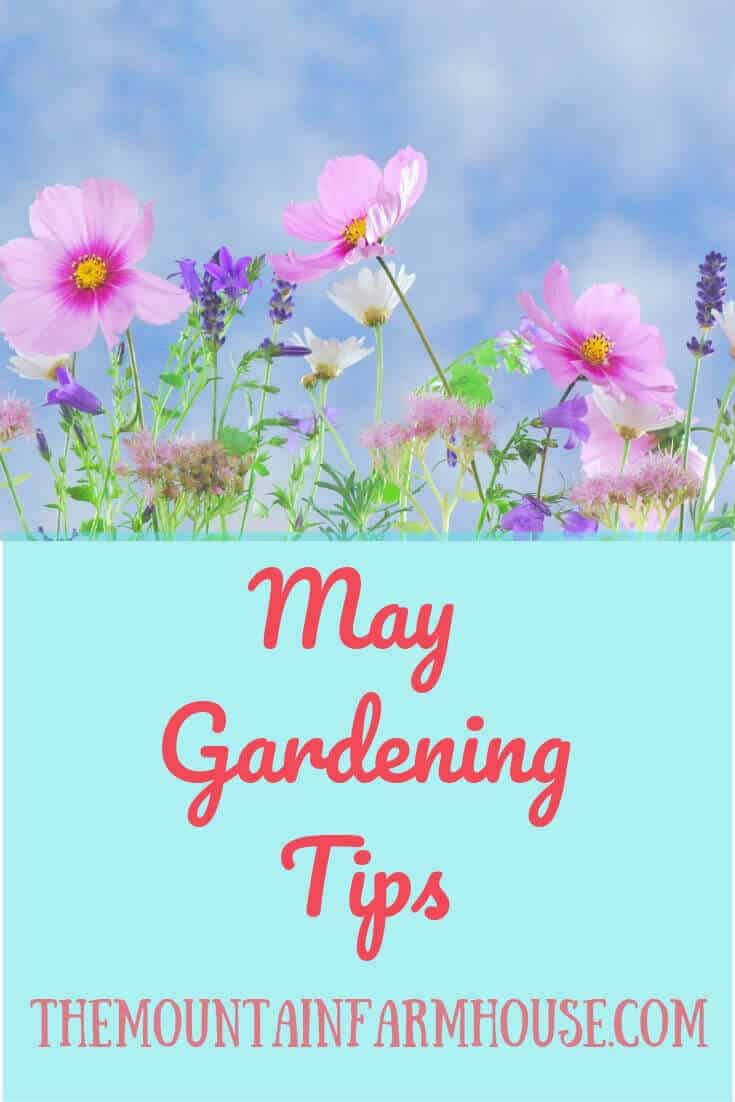 May Gardening Tips - The Mountain Farmhouse