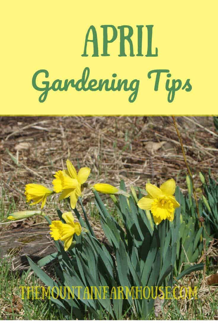 April Gardening Tips - The Mountain Farmhouse