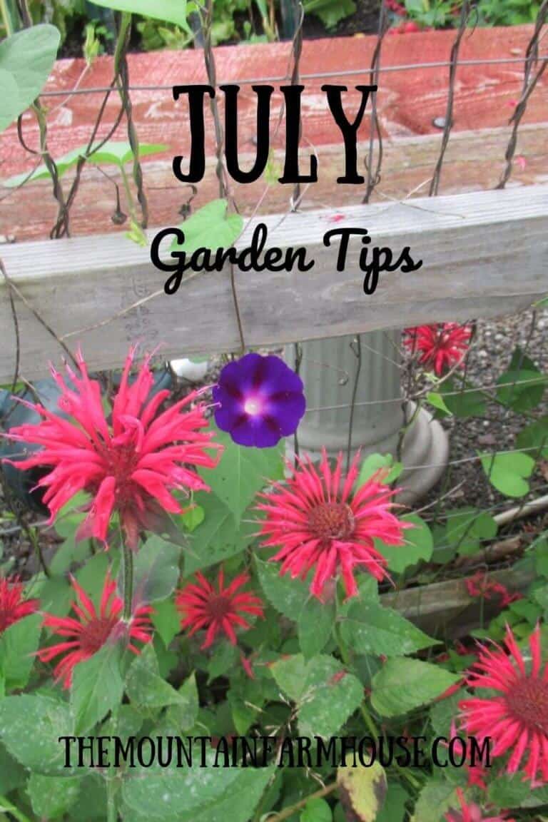 July Gardening Tips - The Mountain Farmhouse